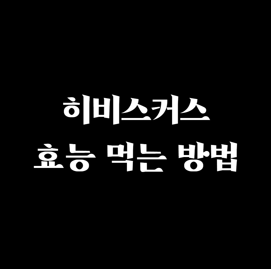 히비스커스 효능 먹는 방법