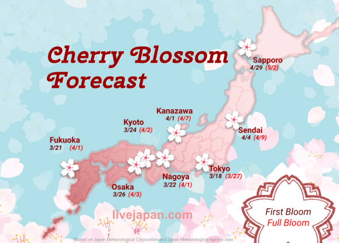 2024년 일본 벚꽃 개화시기 만개시기 5분 만에 알아보기