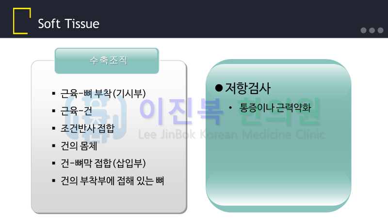 전주 이진복한의원 무릎 관절의 해부학적 구조