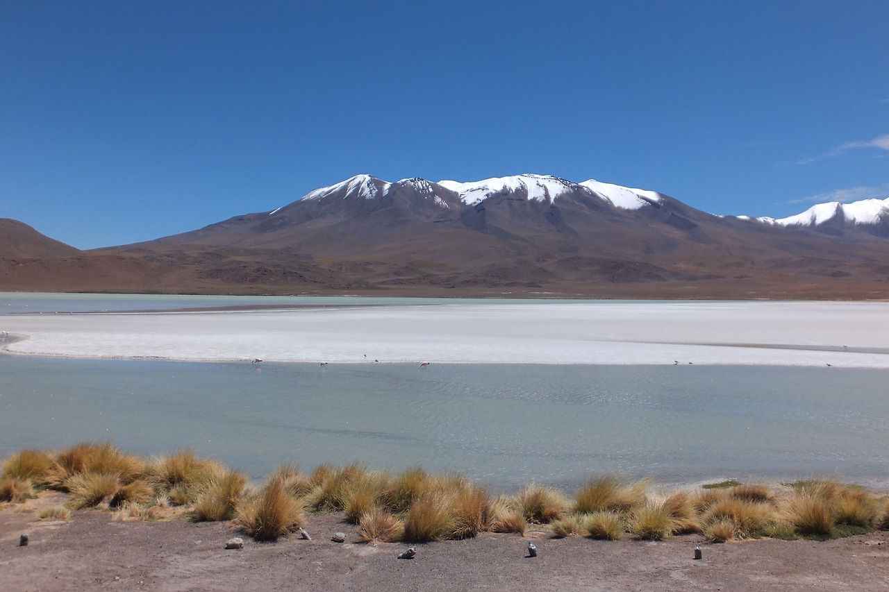 Laguna Hedionda: Bolivia's "Stinking Lake"