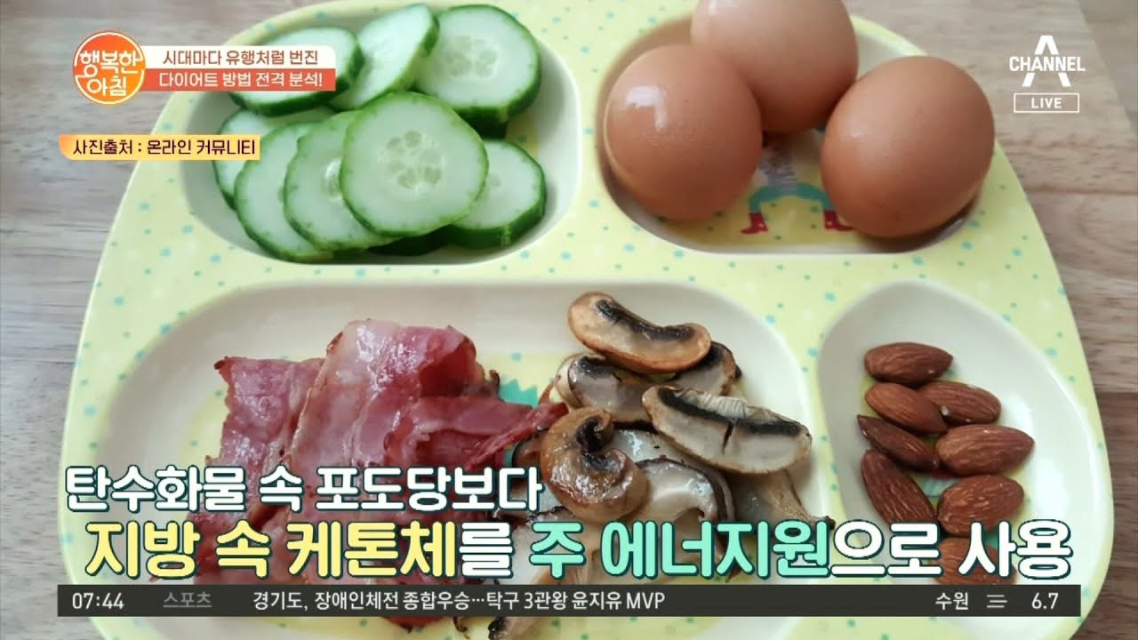 저탄고지 다이어트 저탄수화물 고지방 체중감량 식단관리
