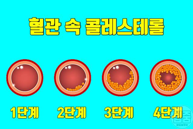 참외 효능 7가지 참외씨 참외껍질 참외꼭지 효능 참외부작용 하루섭취량