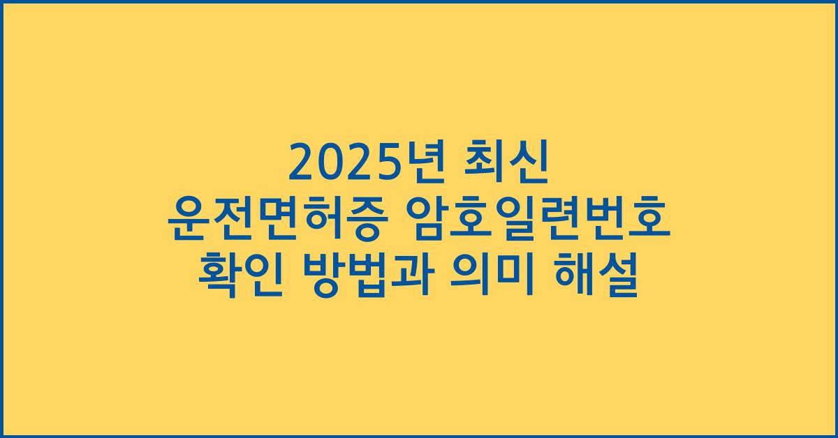 2025년 최신 운전면허증 암호일련번호 확인 방법과 의미 해설