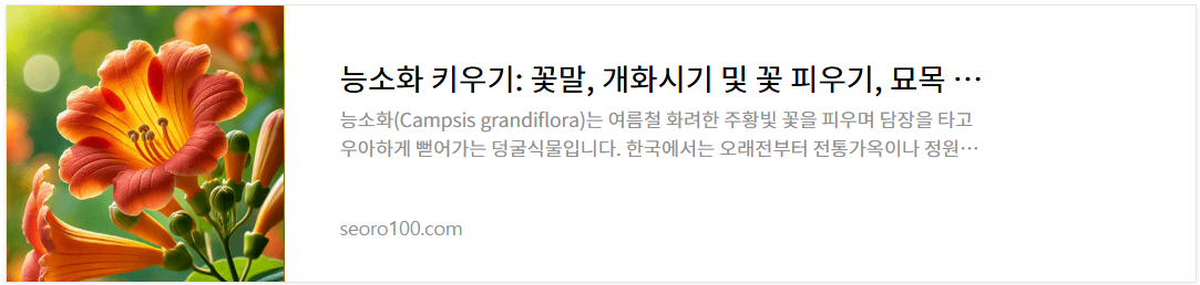 루드베키아 키우기 꽃 피우기 번식 모종 및 파종시기와 방법 꽃말 종류