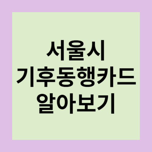서울시 기후동행카드 정리 월6만5천원 무제한 대중 교통 이용 도입 시기 이용 가능 구간 불가능 구간