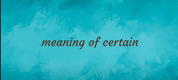 [영어] Certain의 사용법