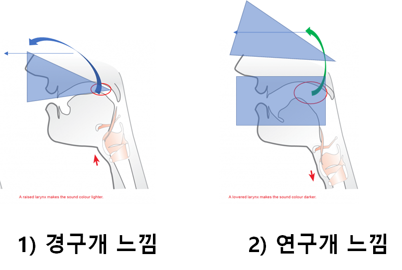 연구개 경구개 활용하는 방법연구개 경구개 느끼기 실습 및 예시