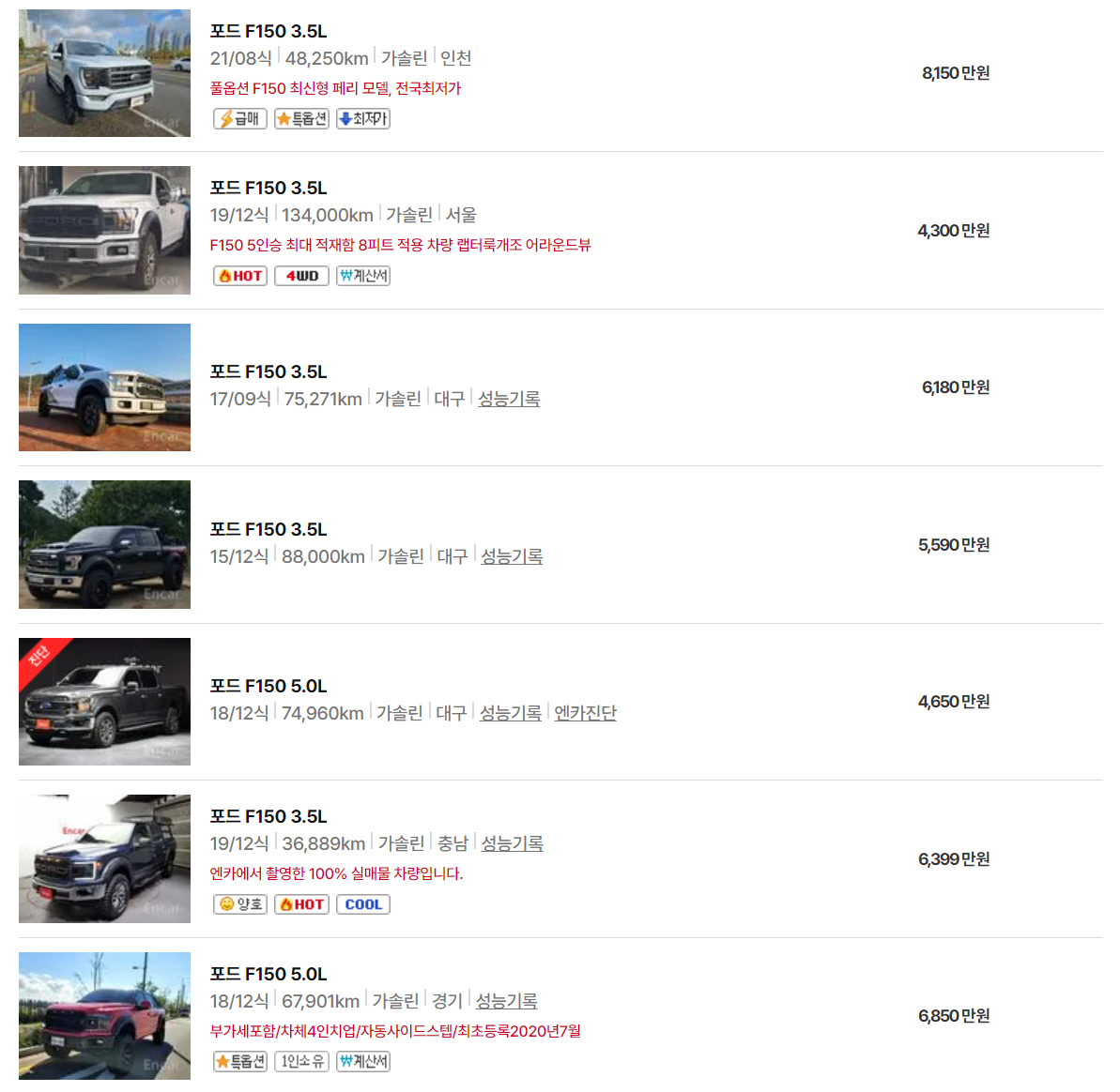 포드 F150 중고차 가격 시세표 포드 픽업트럭 24년 2월 기준