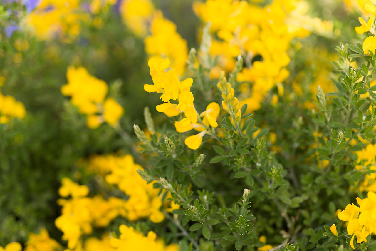 일상 생활 by 자연&사람