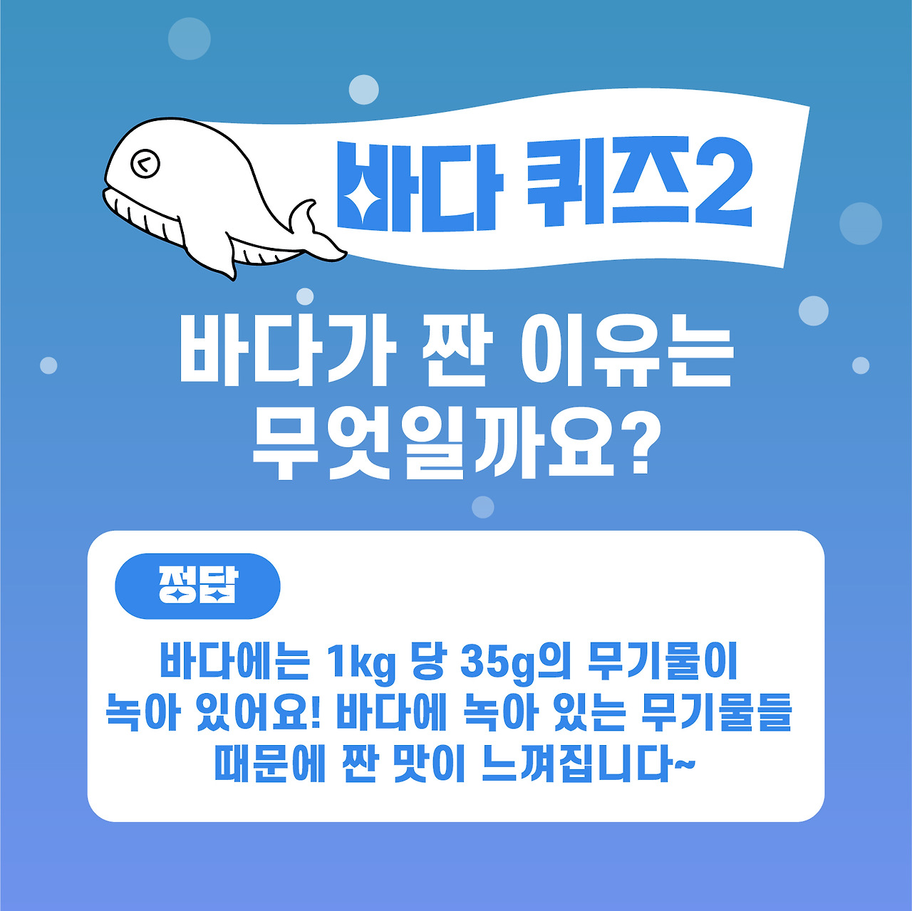 참쌤동네 여름에는 바다 🐟바다 생물이 가득한 바다 만들기🐳