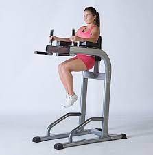 버티컬 벤치 레그 레이즈(Vertical-Bench Leg Raise)