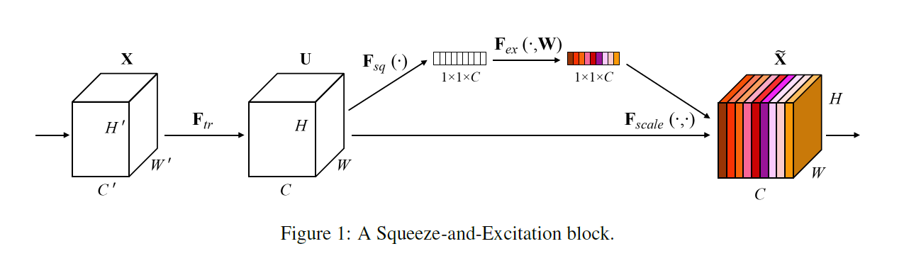 SENet(SEModule pytorch code)