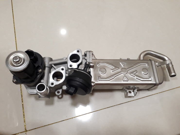 관찰중 P0405 P046C P0400 P042E