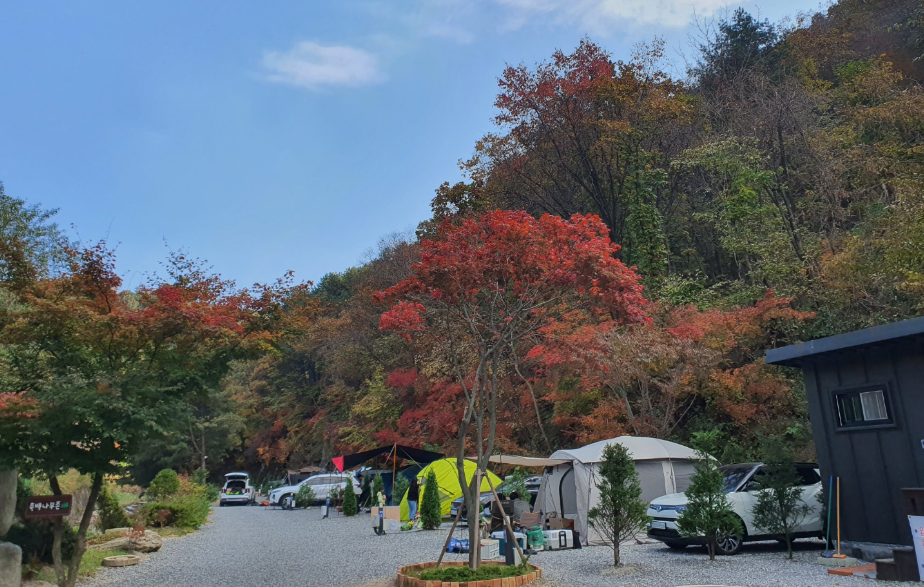 경기 포천 산정호수 돌고래캠핑장 예약 방법 애견 동반 가격 주소 시간 후기 댕댕캠핑 전국 애견동반 캠핑장