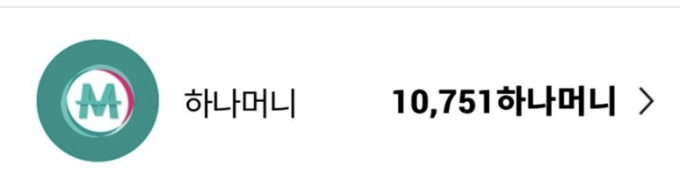 아시아나항공 마일리지 부족할때 현금으로 마일리지 전환하는 꼼수 끼룩씨의 오늘하루