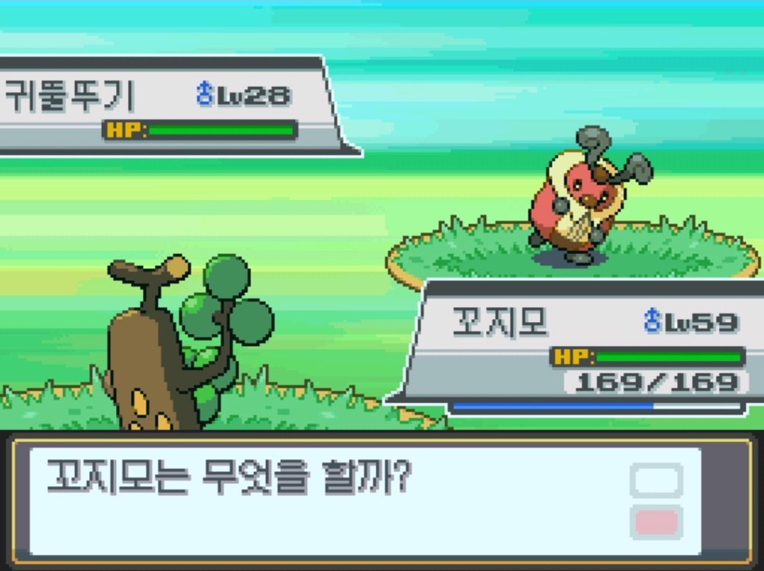 포켓몬스터 하트골드소울실버 곤충채집대회 전국도감 입수 후