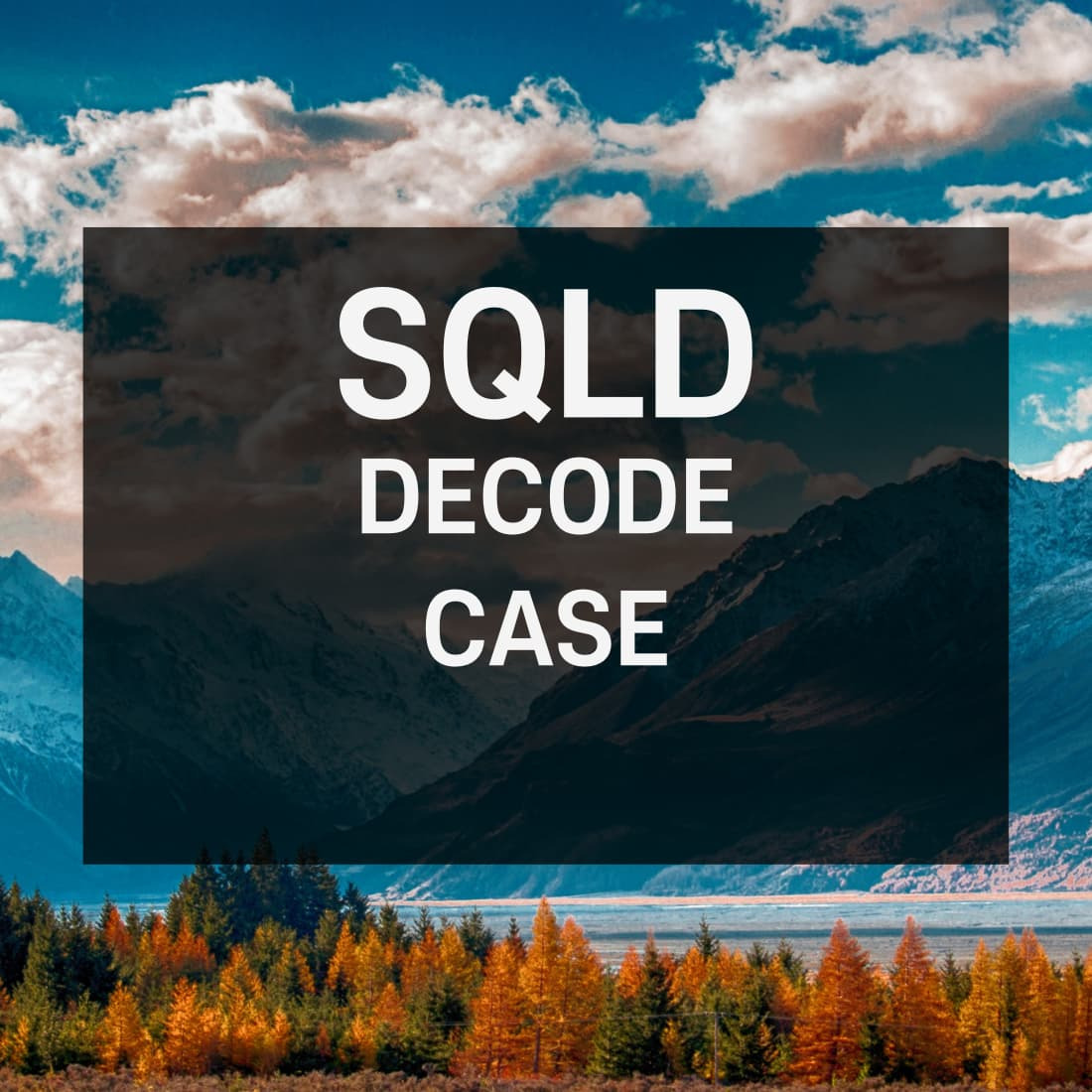 SQLD 시험 전에 공부해야 할 것5 : DECODE, CASE :: 공부하는 습관