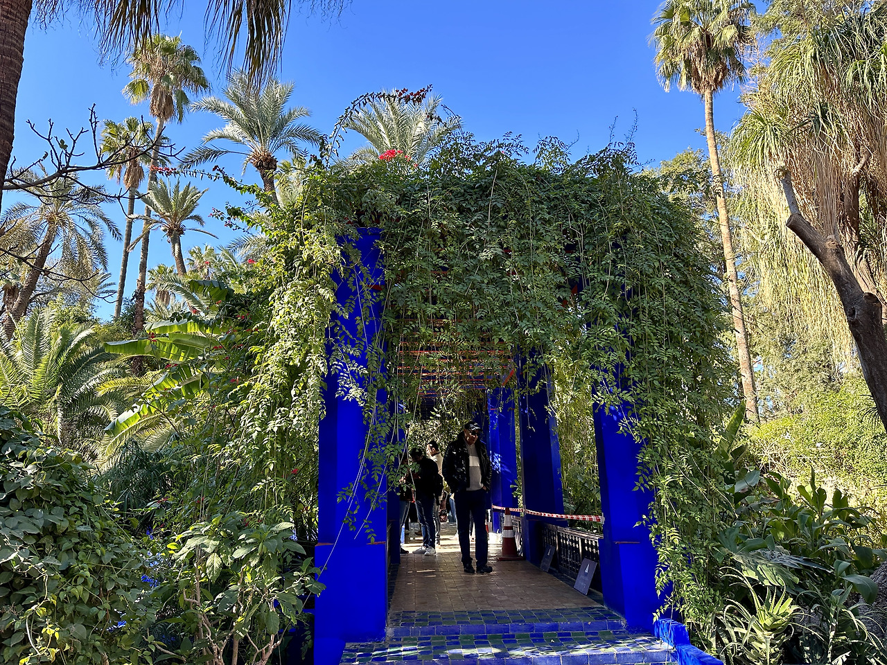 마조렐 정원 Jardin Majorelle 자르뎅마조렐 마조렐 블루 마조렐 정원 입장료