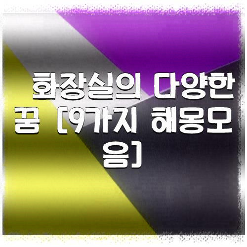 화장실의 다양한 꿈 9가지 해몽모음