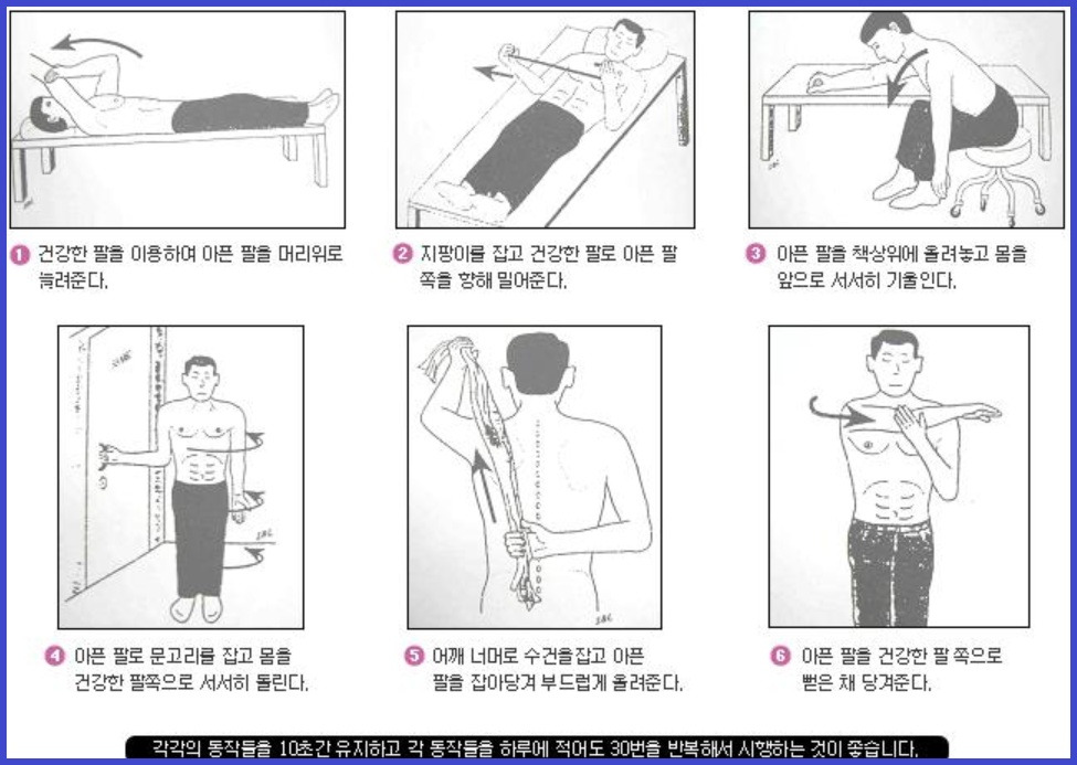 견갑골 통증 원인과 치료법 스트레칭까지 한눈에
