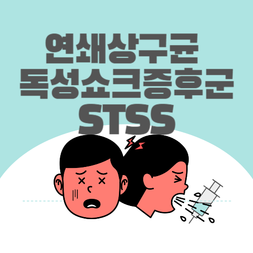 일본 연쇄상구균 독성쇼크증후군 Stss 국내에 영향