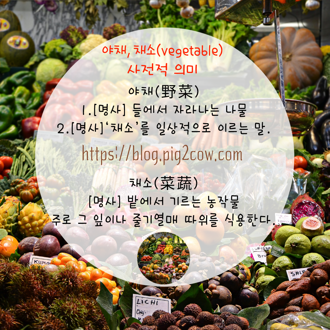 채소 야채 과일 차이 그리고 구분 방법 Oo로 끝