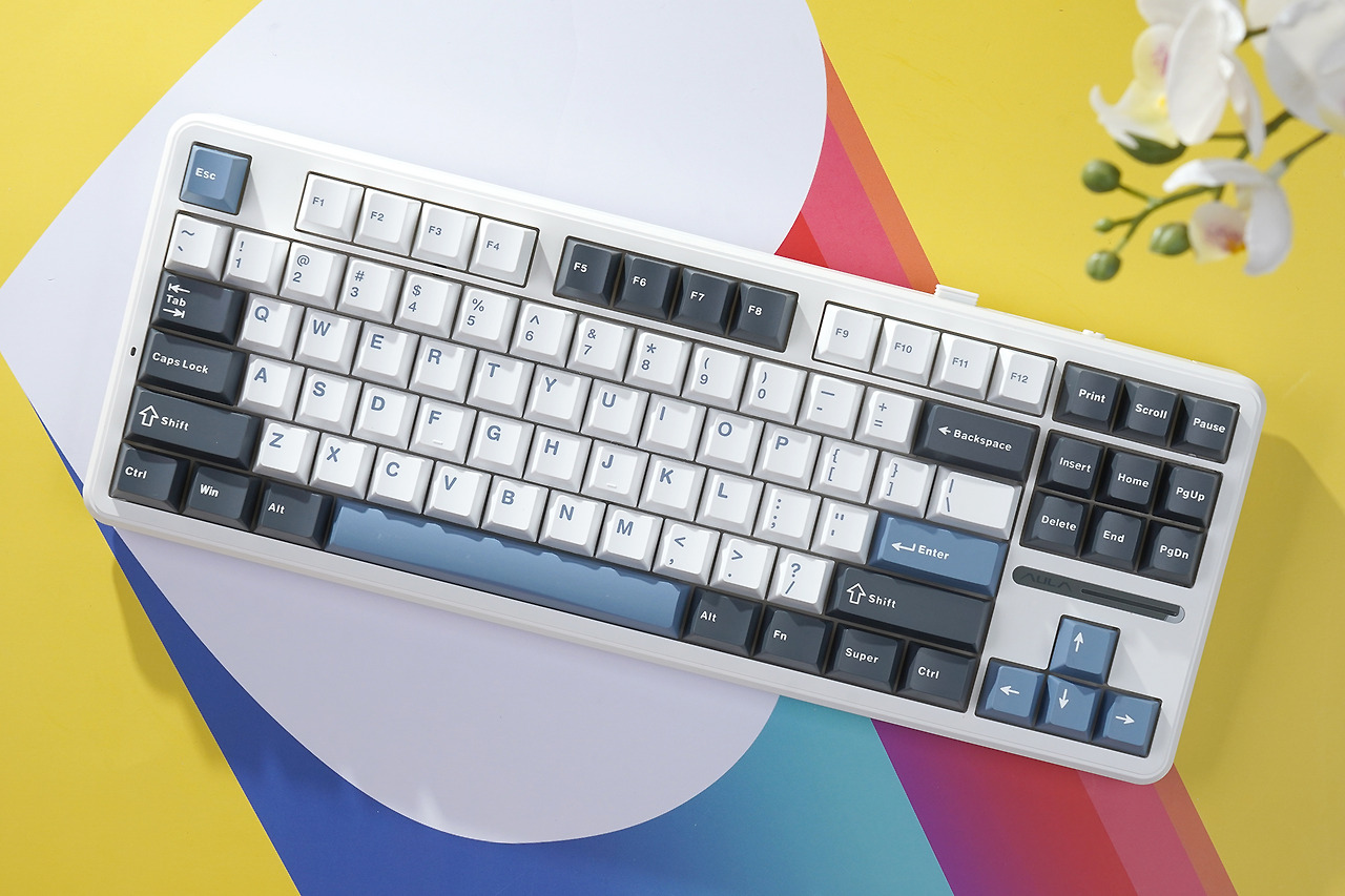 독거미 F87 PRO 유무선 키보드 후기! 소프트웨어, 신월축 타건음