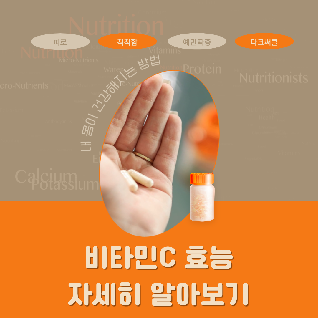 비타민c의 효능 및 함유된 식품 하루 권장량 수험생비타민 수험생영양제추천 디지털 노마드의 일상기록