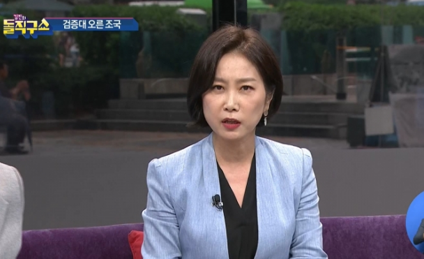 허은아 프로필 나이 학력 고향 남편 교수 전과기록 국회의원 미래한국당 비례대표 정보 꿀단지