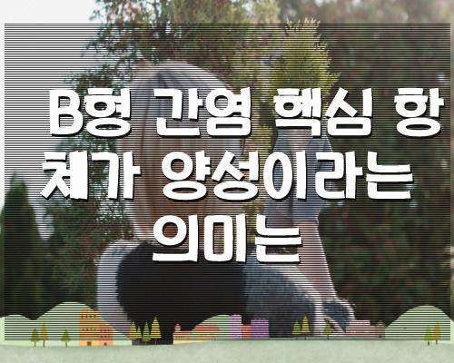 B형 간염 핵심 항체가 양성이라는 의미는