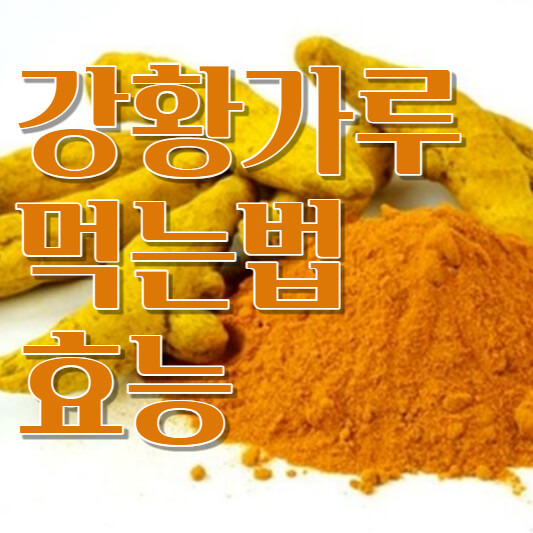 강황가루 먹는법 효능 하루 섭취량 부작용 파는 곳 요구르트 팩 커피