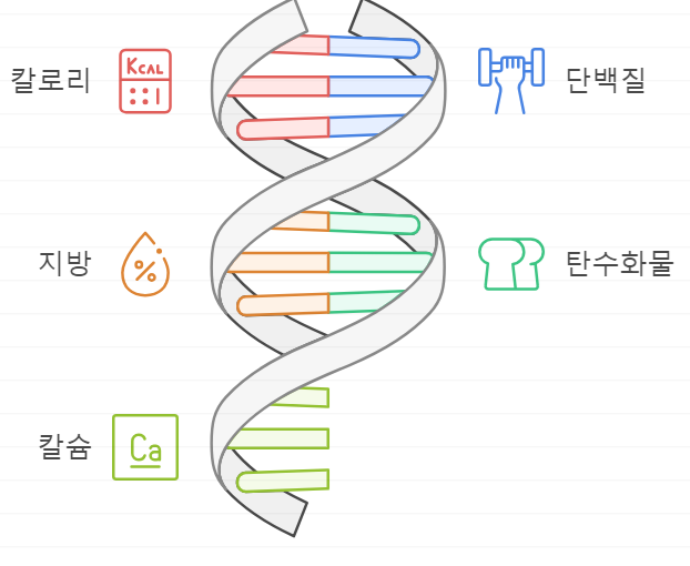 고다 치즈란 고다 치즈 효능 체다치즈와 차이점 및 일일 권장 섭취량 이야기