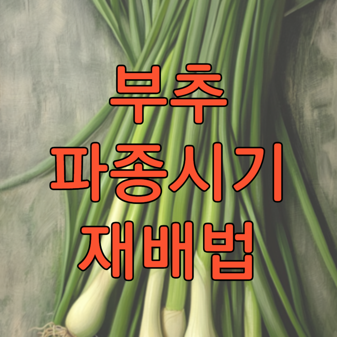 부추 씨앗 파종 시기 모종 심는 방법재배법
