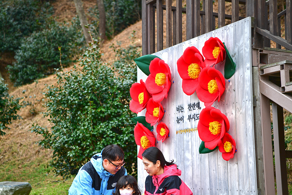 충남 서천 마량리 동백나무 숲 조금 늦게 꽃을 피워 더 특별한 축제 서천 동백꽃 주꾸미 축제 충남 서천 동백꽃 축제