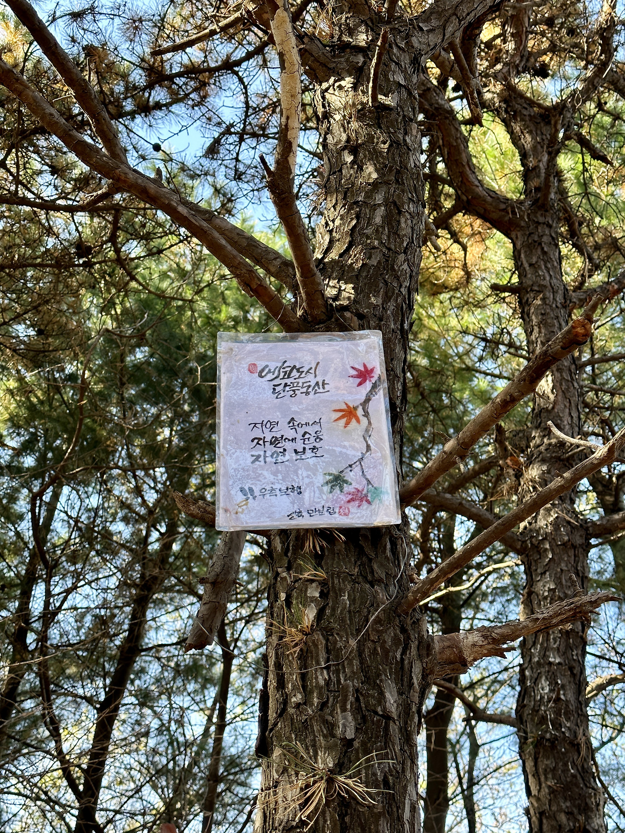 숲세권 검단신도시 디에트르더힐 금정산 산들바람공원 원당동 고려시대 건물터