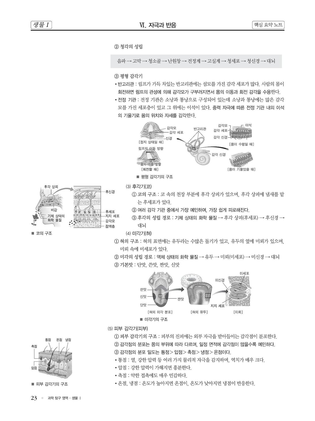 생물 핵심 개념 정리 자극과 반응적합 자극 역치와 실무율의 법칙 베버의 법칙 감각 기관의 구조와 기능