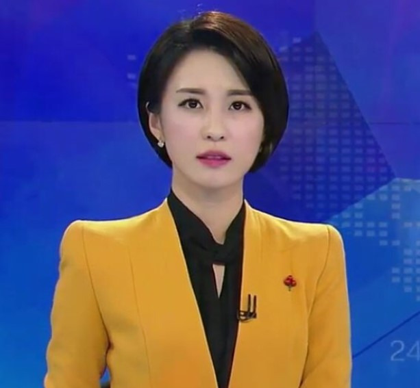 안귀령 앵커 프로필 나이 고향 학력 인스타 안귀령 서울 도봉갑 전략 공천 이유