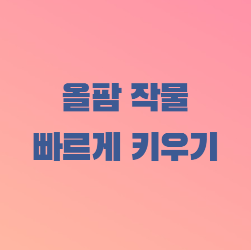 올웨이즈 올팜 작물 빠르게 키우는 팁 올팜 맞팜