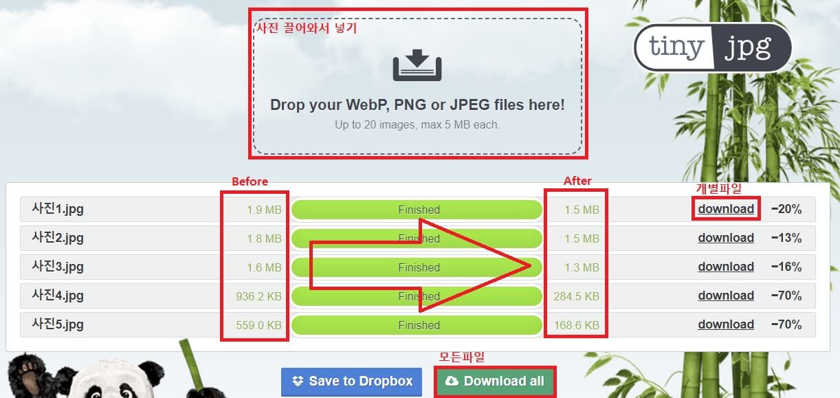 사진 용량 줄이기: TinyJPG로 온라인에서 간편하게! WebP/JPEG/PNG