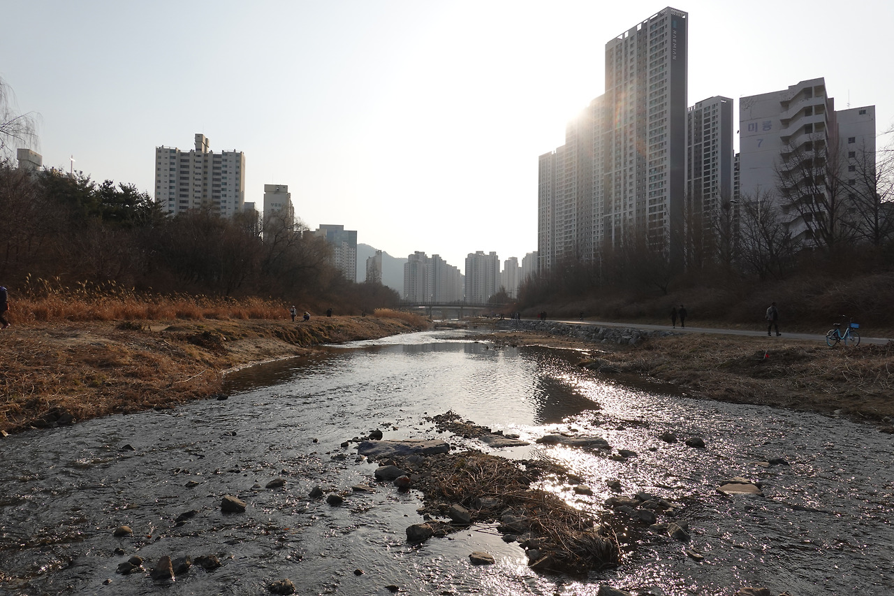 20230305 봄이 오는 길목에 안양 학의천 풍경