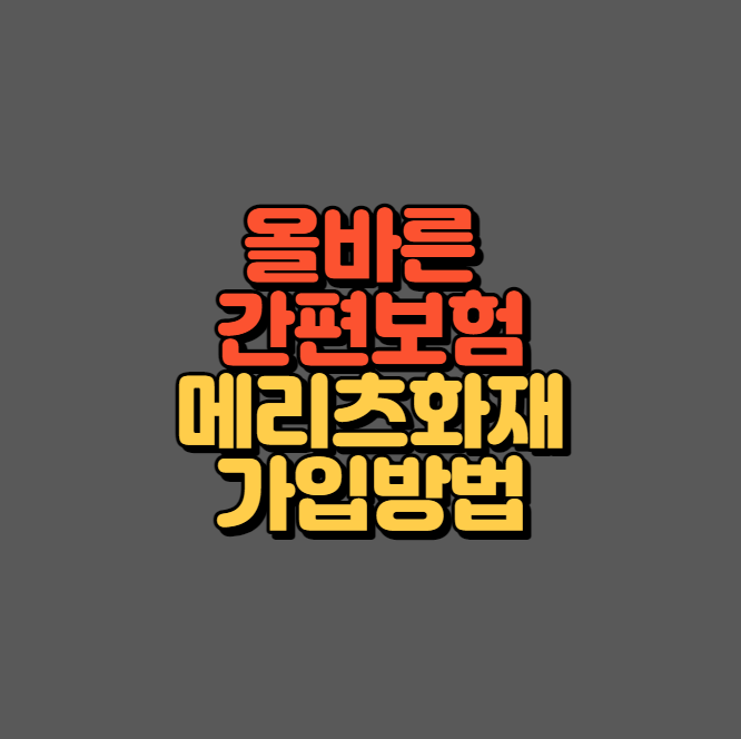 메리츠화재 올바른 간편보험 간편심사로 누구나 쉽고 빠르게