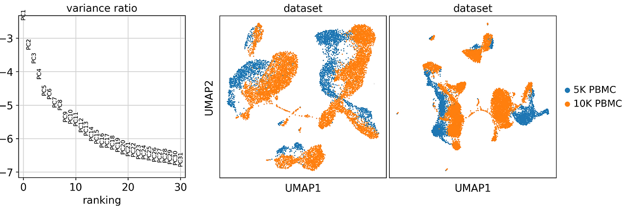 Single Cell Analysis Best Practice 정리해보기