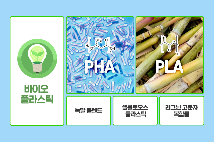 [월간화학] 생분해성 플라스틱 시대의 도래 2