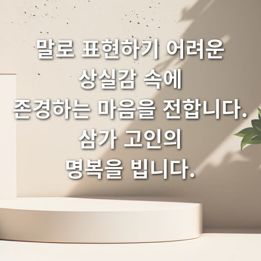 장례식 기본 의미와 예절 절하는 법 상주에게 인사말 문구