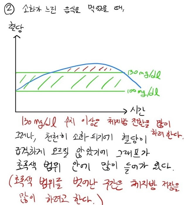 혈당 수치 그래프 식사 전 후 음식별 혈당 변화