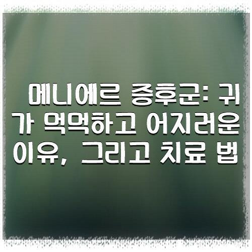메니에르 증후군 귀가 먹먹하고 어지러운 이유 그리고 치료 법