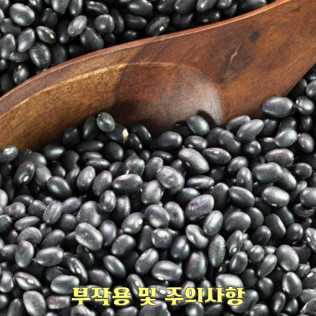 서목태 효능 영양성분 고르는법 부작용
