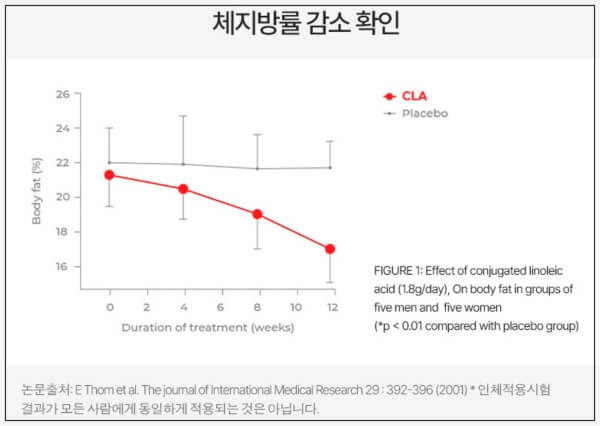 푸응 팻버닝 성분 효과 후기 알아보기