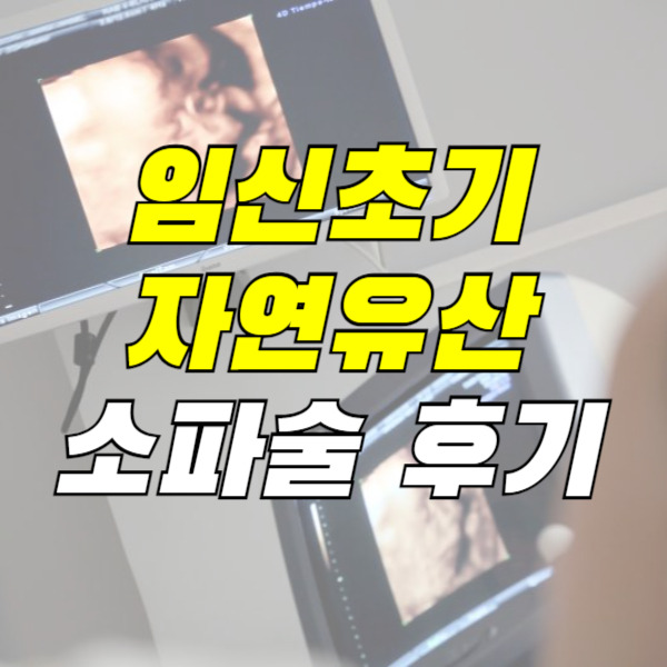 임신 초기 유산 소파술 후기임신 4 6주