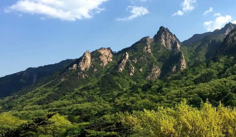 설악산 케이블카 예약 운행시간 요금안내
